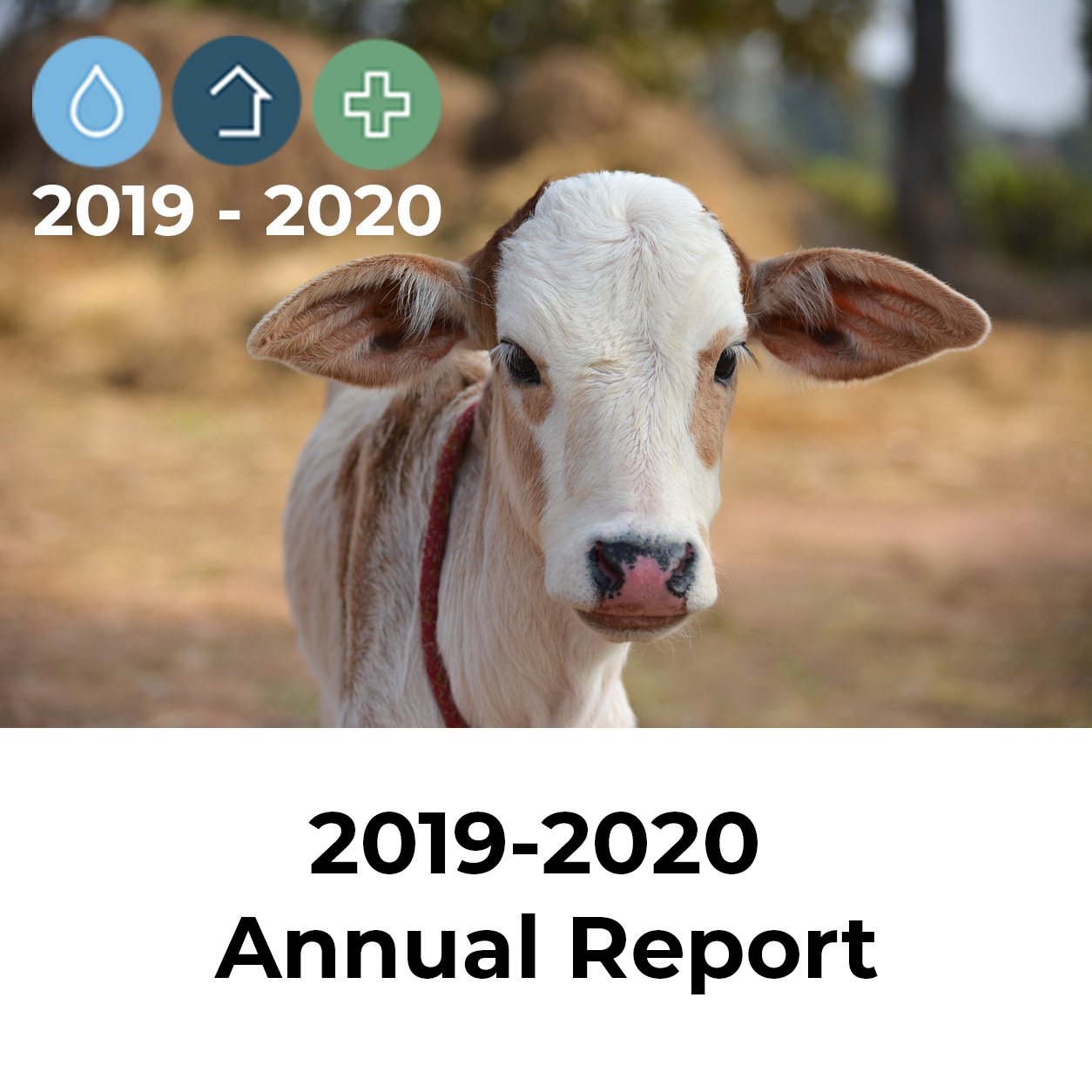 Annual Reports | Animal Protection Services of Saskatchewan